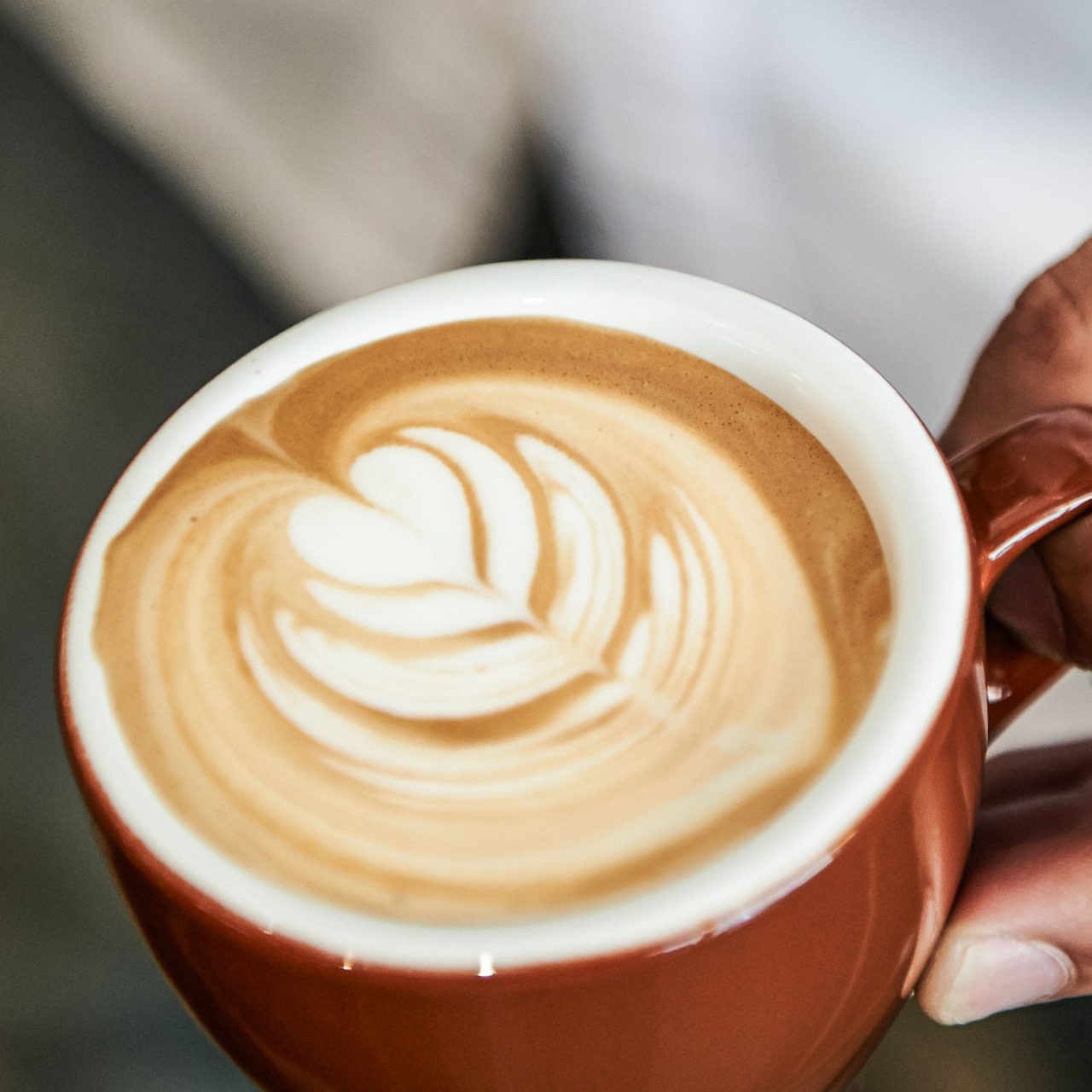 Beverages - The Providore Singapore - Café, Deli and Groceries